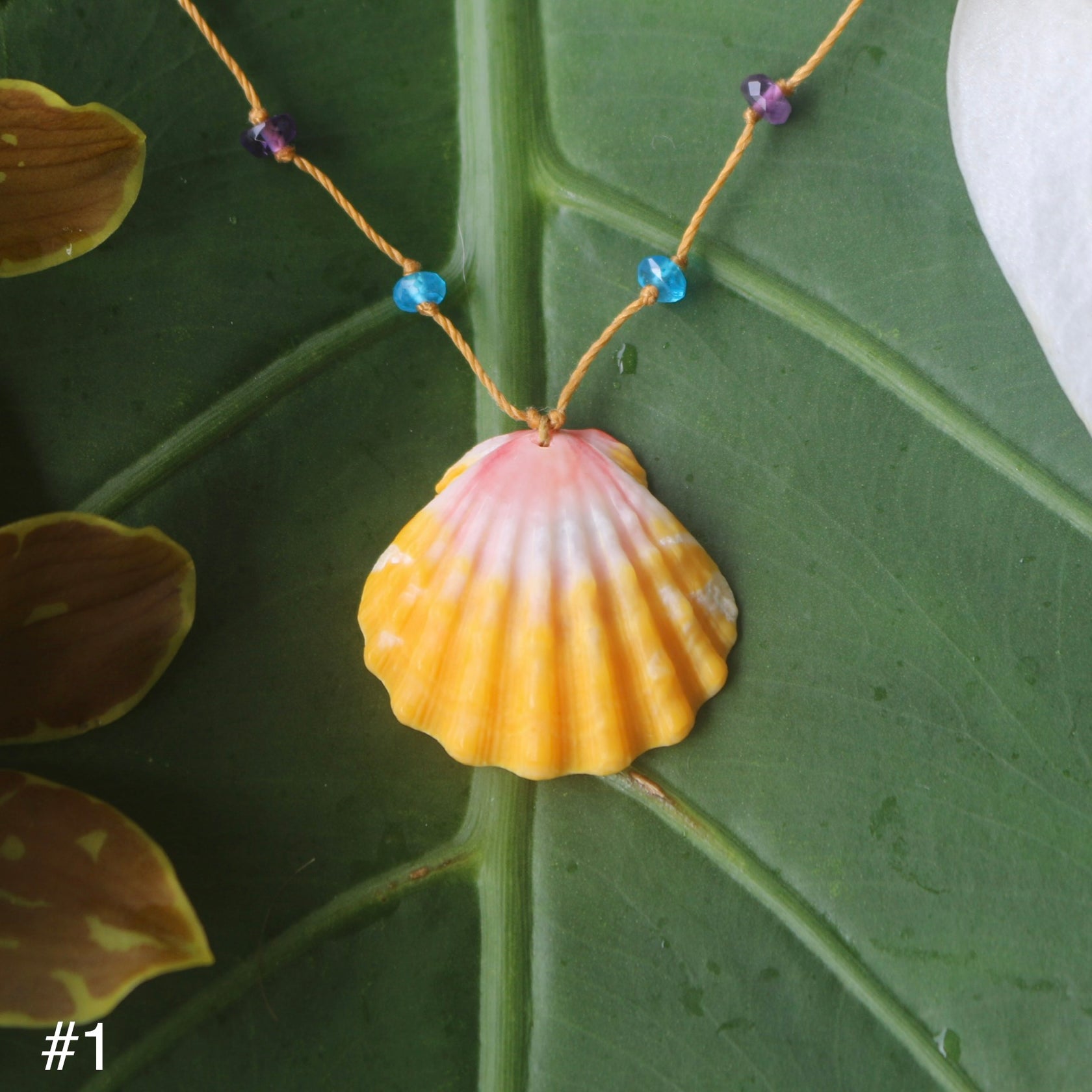 Sunrise Shell Rainbow Drop – Amalia